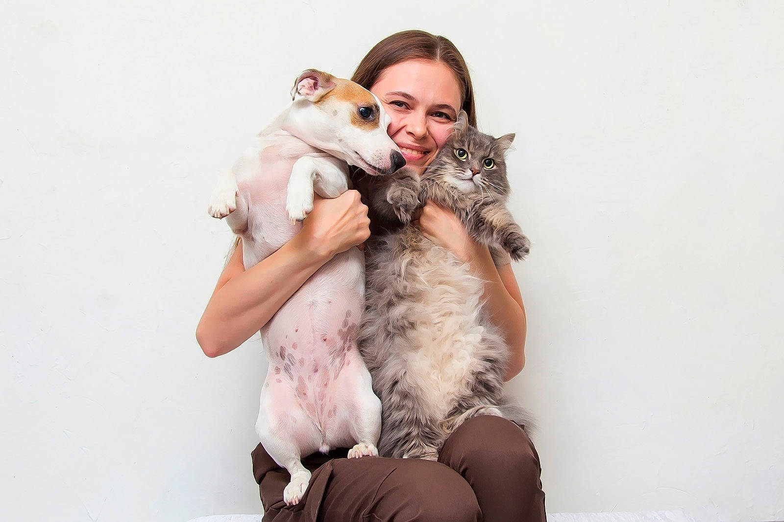 Pageant Dog: Dog Photo Contest