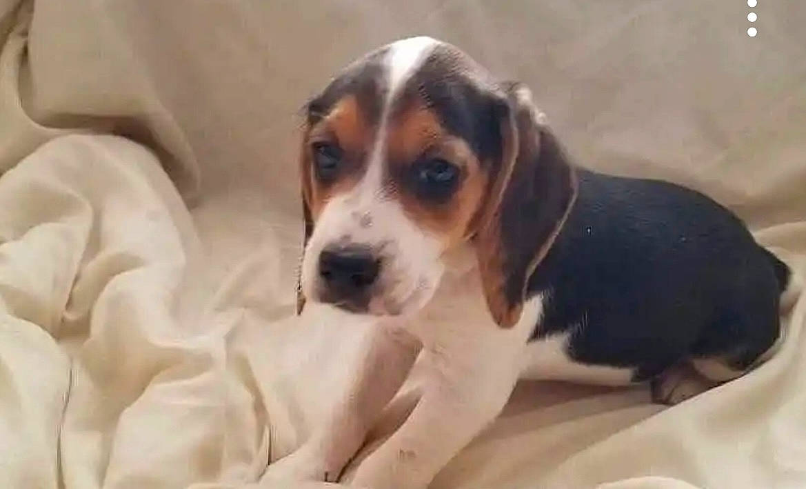 Support Mazzy Grace from New York in Baby Photo Contest - Cash Rewards