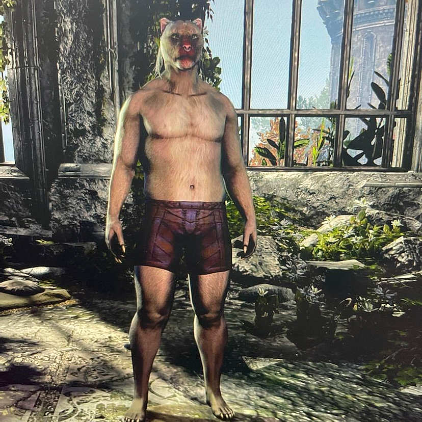 Lykoi: traits, characteristics, health