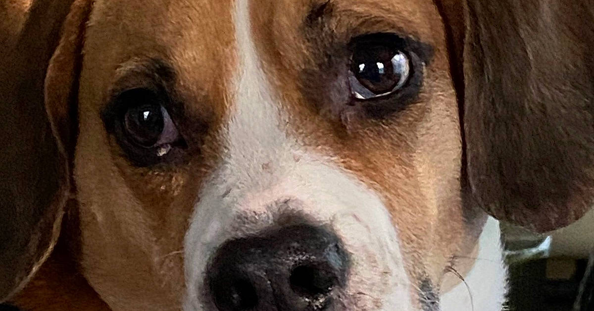 Sherry H. · Child Beauty Pageant