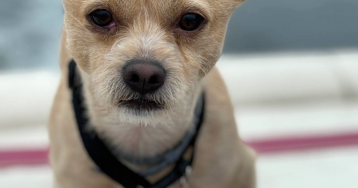 Support Lefty from Peabody in Baby Photo Contest - Cash Rewards